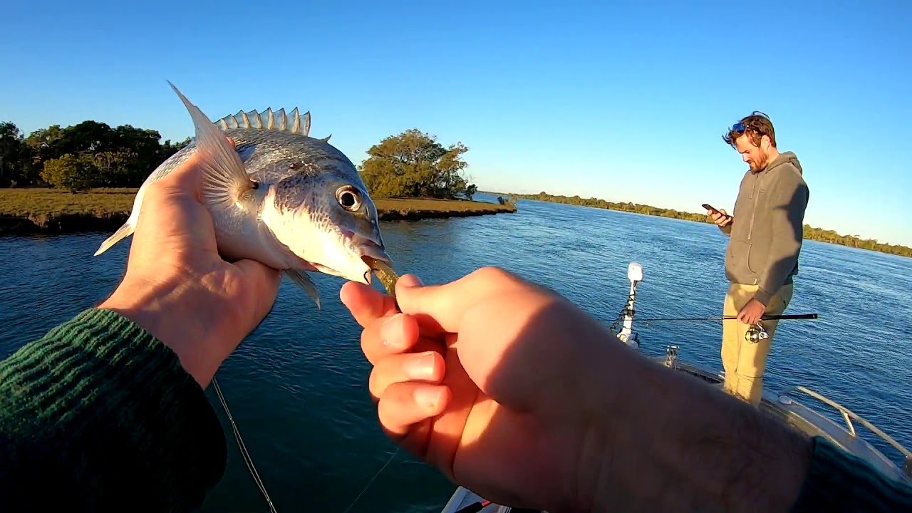 Fishing Jumpinpin mud-ledges for flathead, tailor and bulk Bream - Part ...