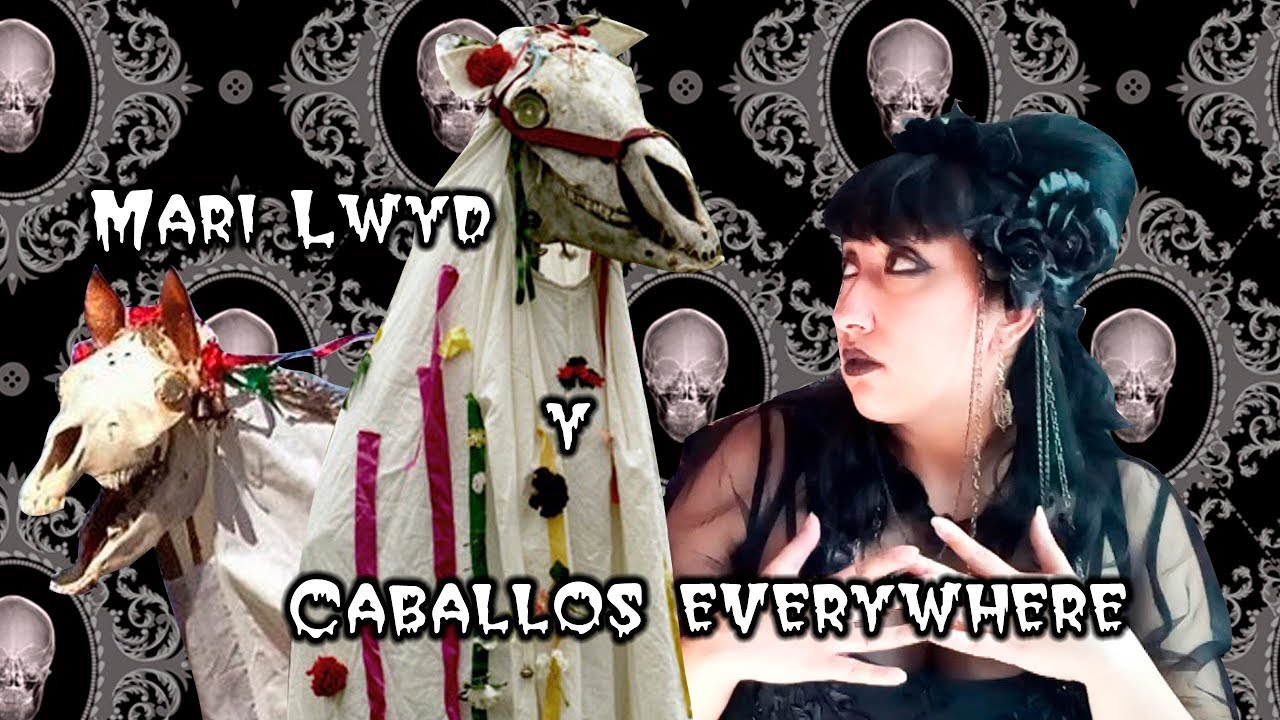Una extraña navidad con Mari Lwyd | Nihil Admirari - YouTube
