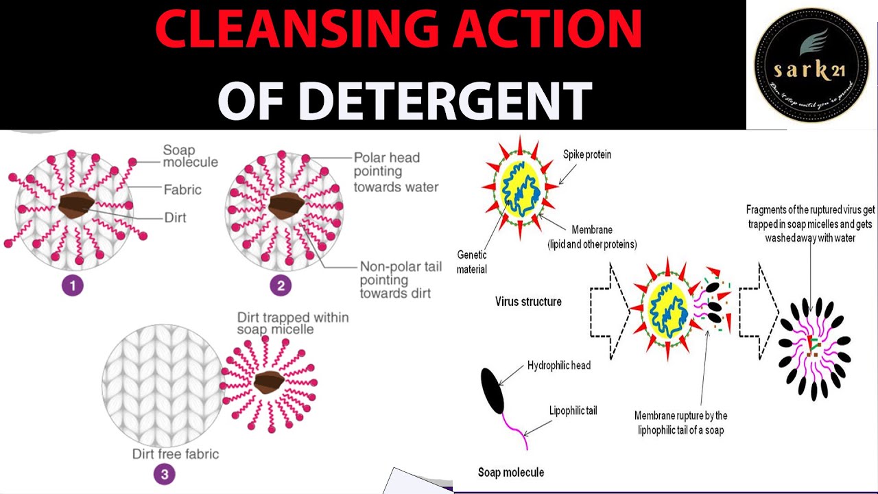 Cleansing action of detergent - YouTube