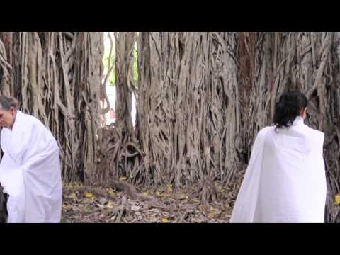 Expulsion from Paradise - Earth