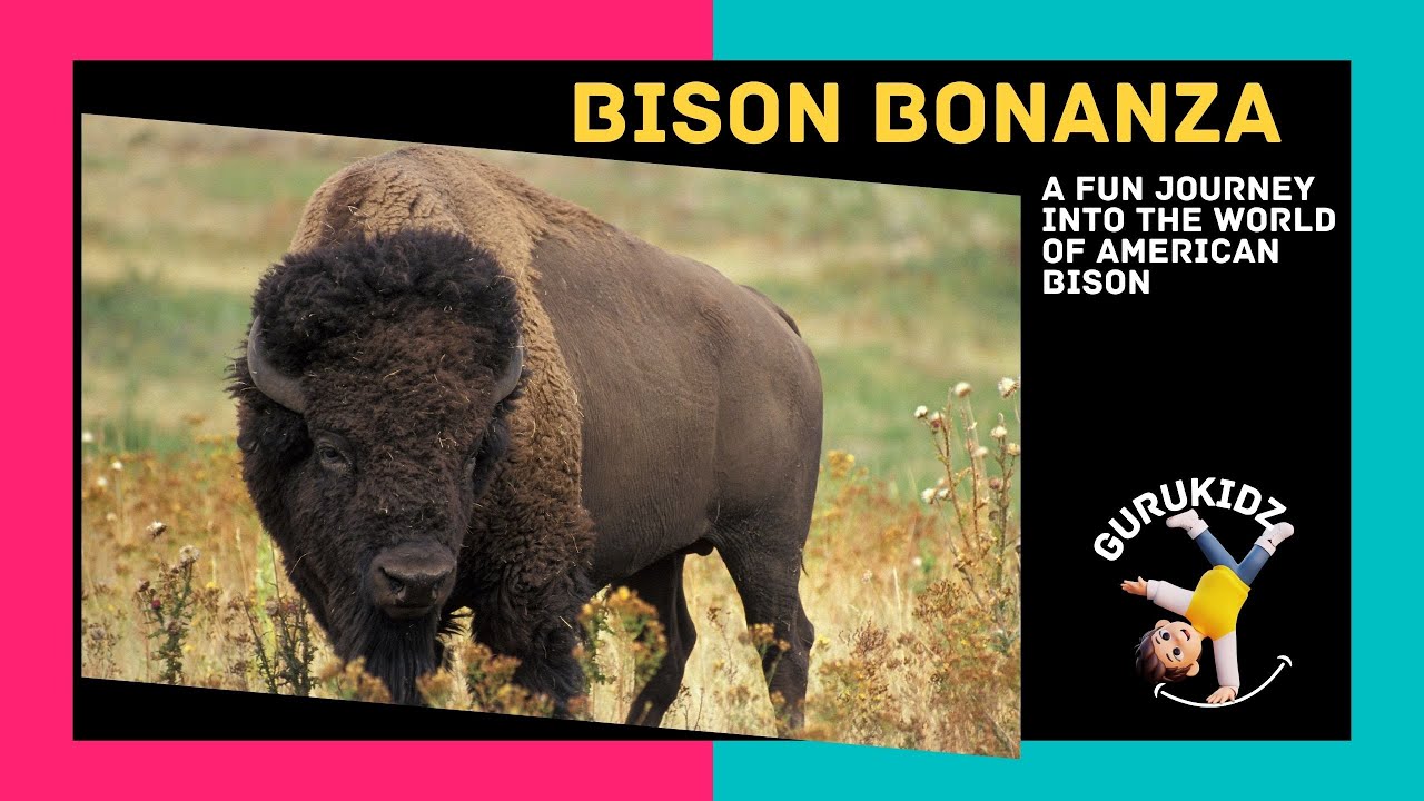 Bison Bonanza A Fun Journey into the World of American Bisons for Kids ...