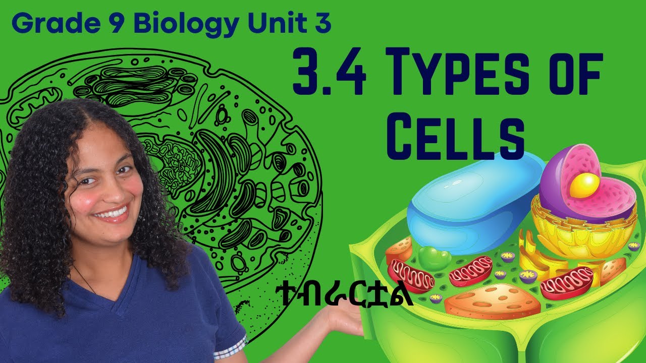 Grade 9 Biology Unit 3:3.4 Types of Cells |Saquama | ሳቋማ - YouTube