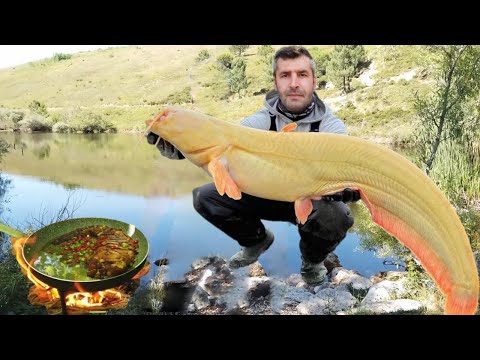 YAYIN BALIĞINI BİRDE BÖYLE TEMİZLEYİP PİŞİRMEYİ DENE / Balık Tarifleri / How to clean a Catfish
