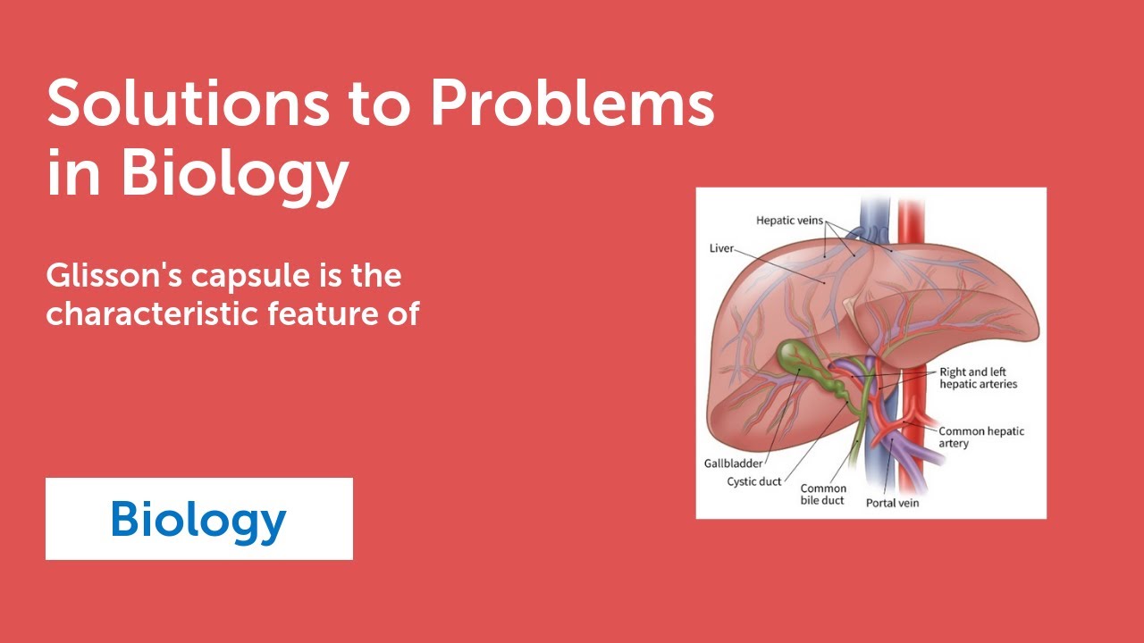 Answer to Question : Glisson's capsule is the characteristic feature of ...