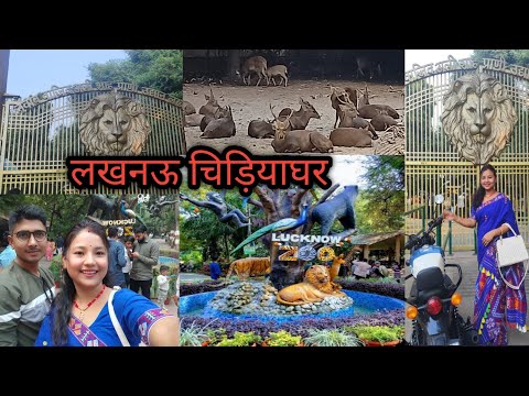 Lucknow Zoo | Nawab Wajid Ali Shah Zoological Garden| - YouTube