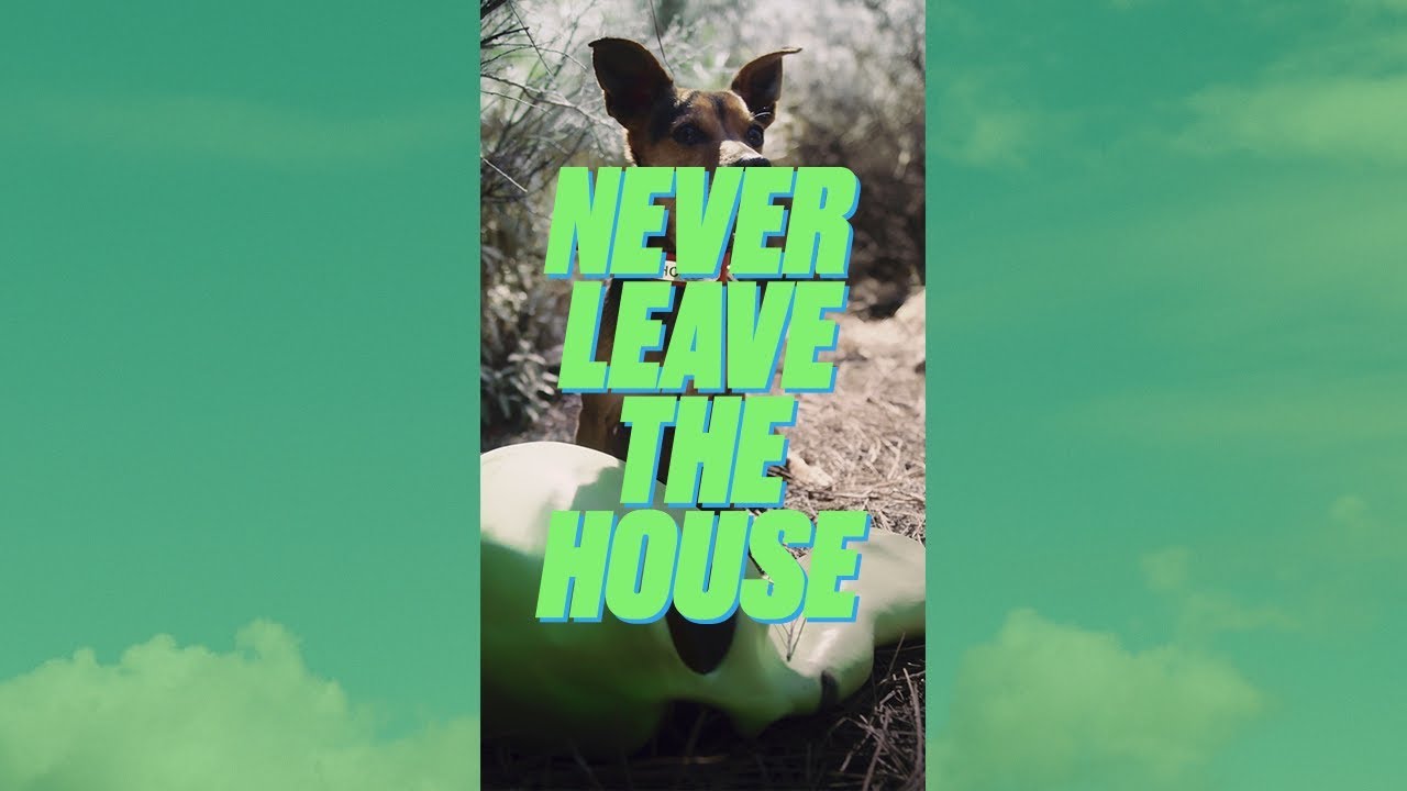 NEVER LEAVE THE HOUSE I SS19E05 (Vertical Video) - YouTube