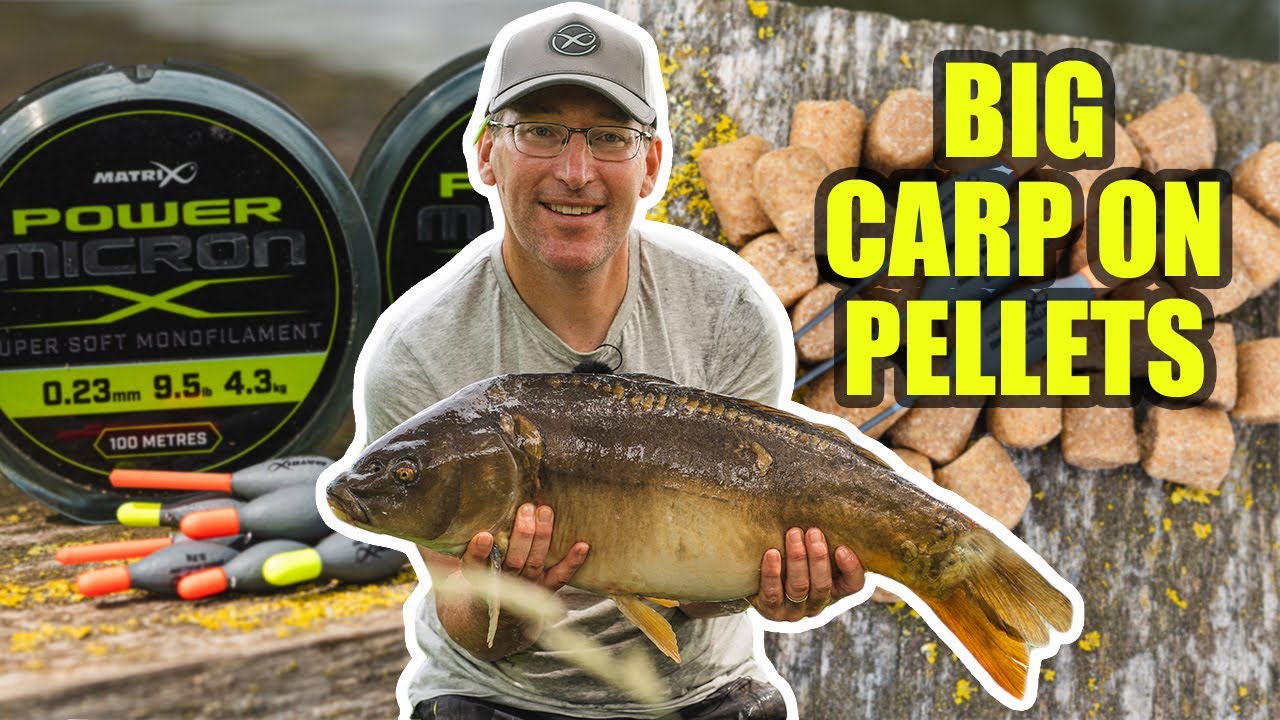 BIG FISH ON HARD PELLETS AT MEADOWLANDS FISHERY! Shallow & Margin ...