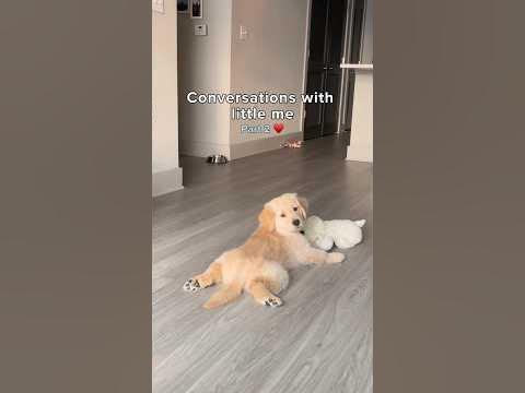 part 2/2 ️ - YouTube