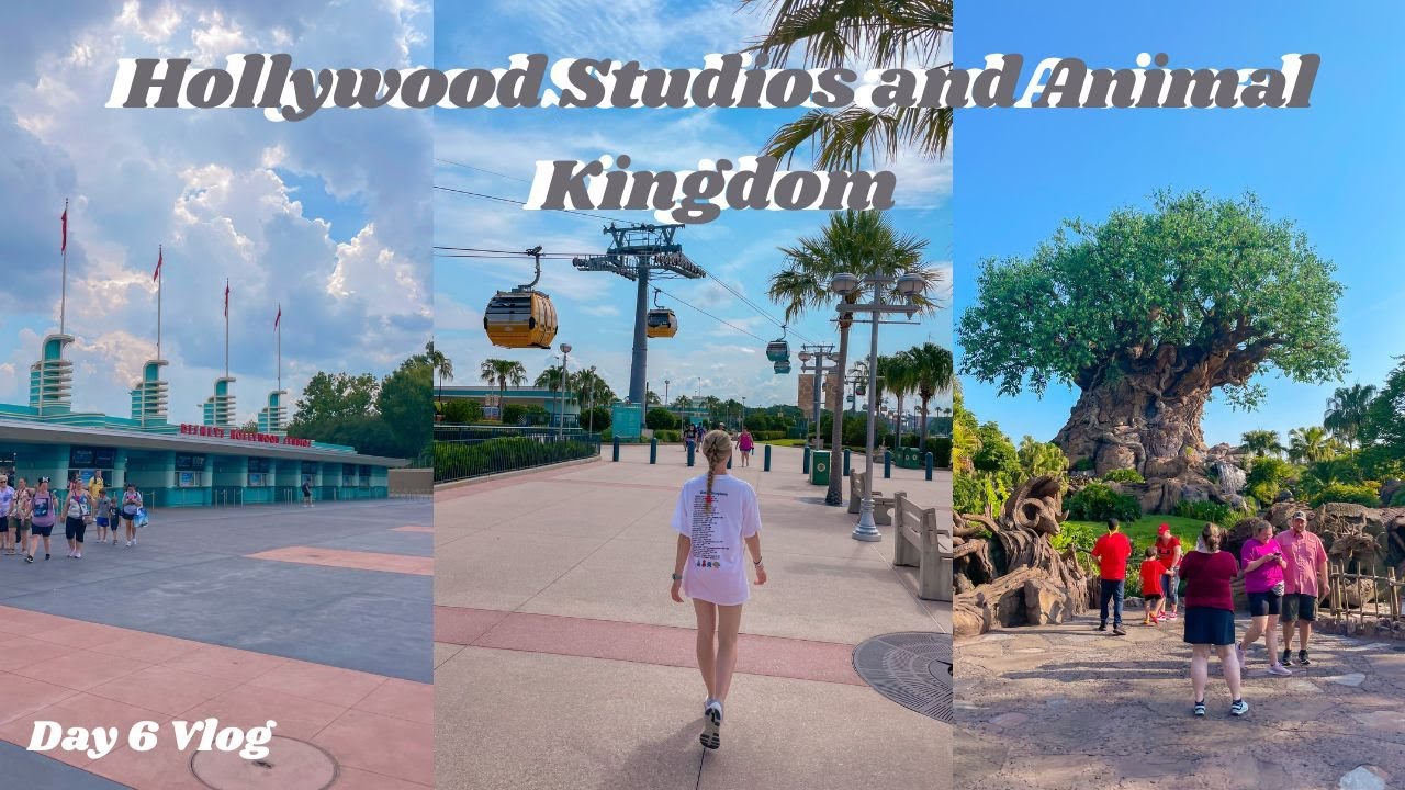 Hollywood Studios and Animal kingdom | Oga's Cantina and 50's Prime ...
