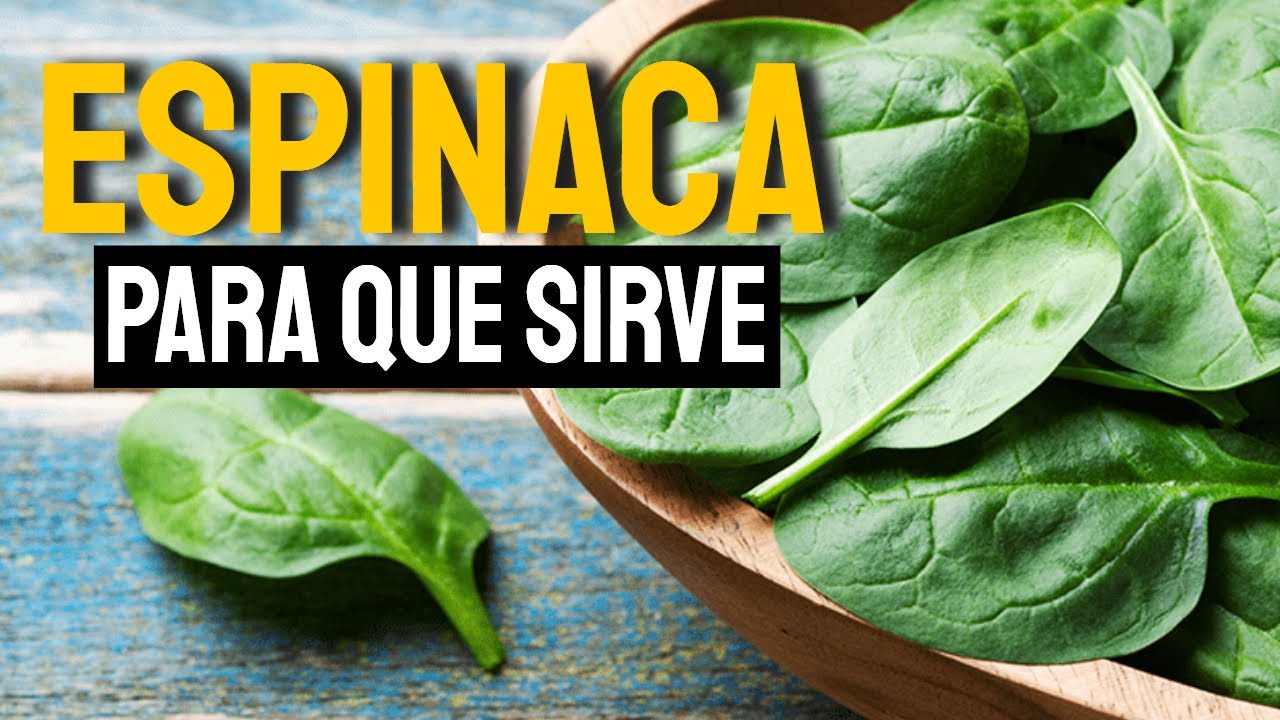 Propiedades De La Espinaca Y Para Que Sirve Propiedades De La Espinaca