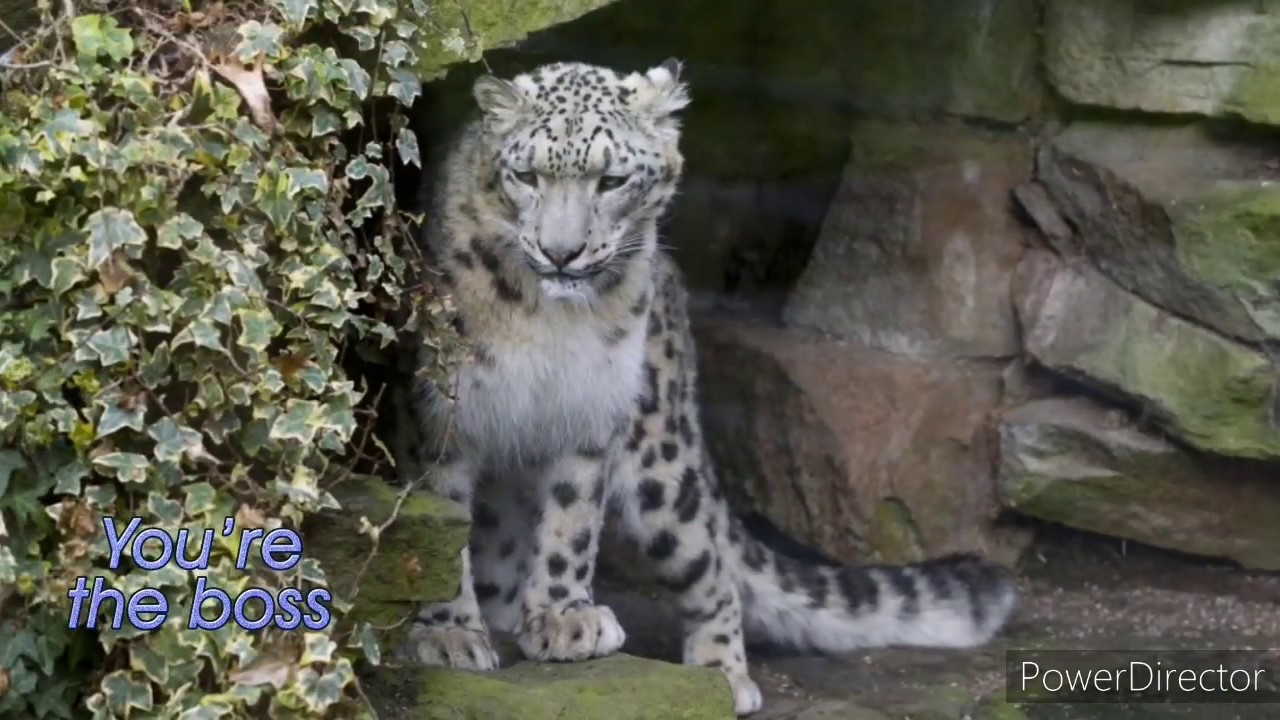 JIJAMATA UDYAN||BYCULLA ZOO||राणीची बाग||MUMBAI-ZOO||WEEKEND TRIPS ...