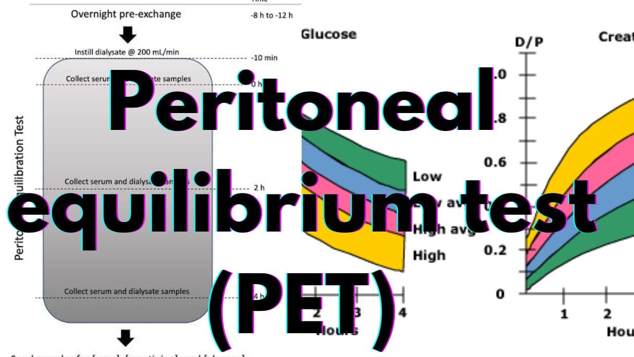 Peritoneal Equilibrium Test/PET/Peritoneal equilibrium test procedure ...