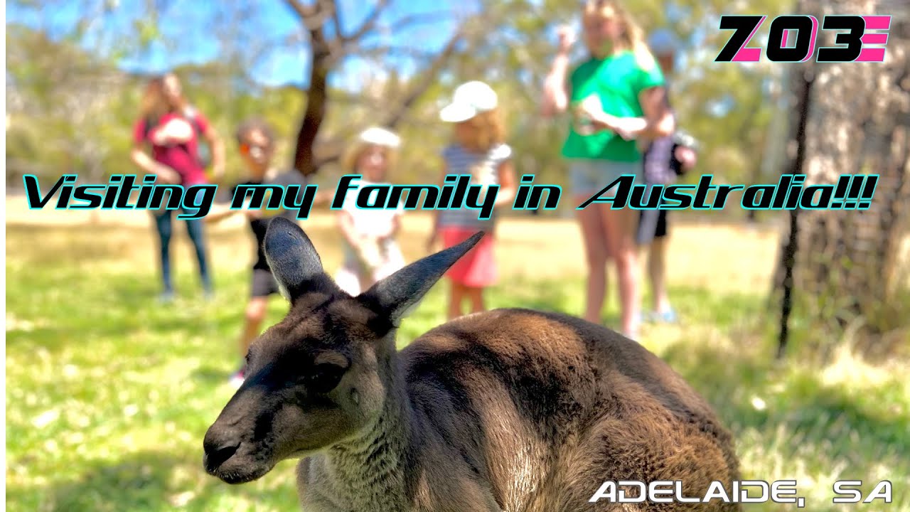 I love Adelaide!!! Visiting my family in Australia: beaches, kangaroos ...