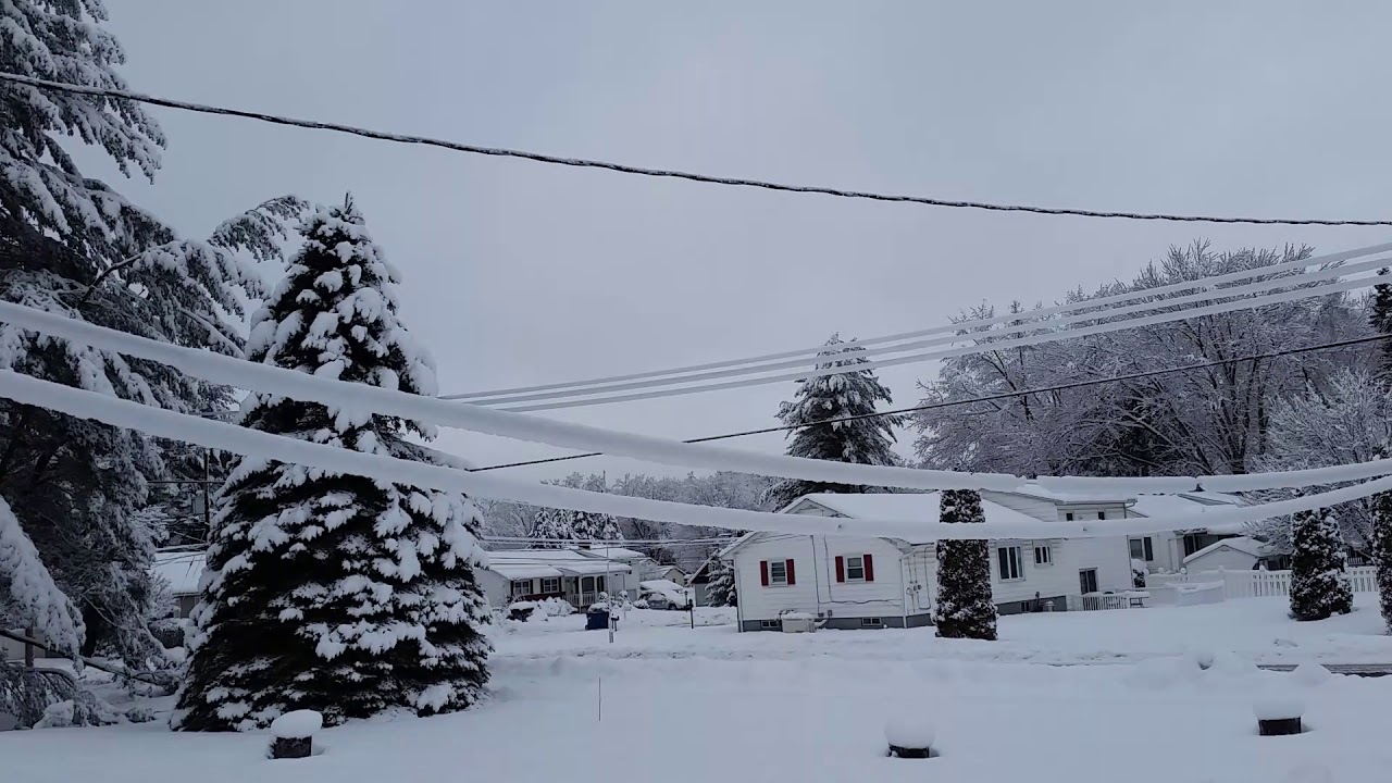 Power lines and trees sagging after wet snowfall - YouTube
