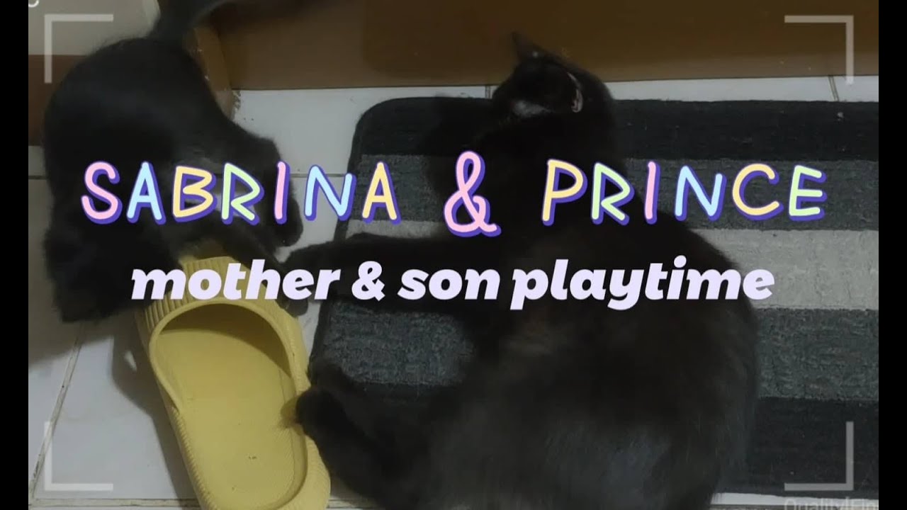 SABRINA & PRINCE - YouTube