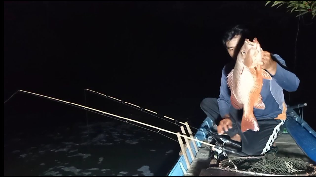 Mancing malam di depan tambak panen udang - YouTube