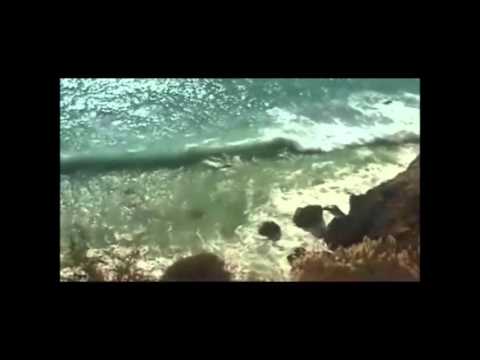 Qashangi by Akhtar Shoukat.wmv قشنگی: آهنگ و آواز اختر شوکت - YouTube