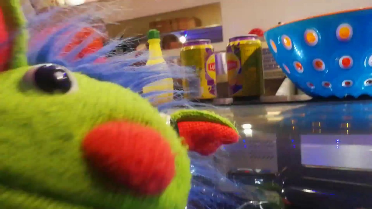 Zigouigoui ,au fil des rencontres - YouTube