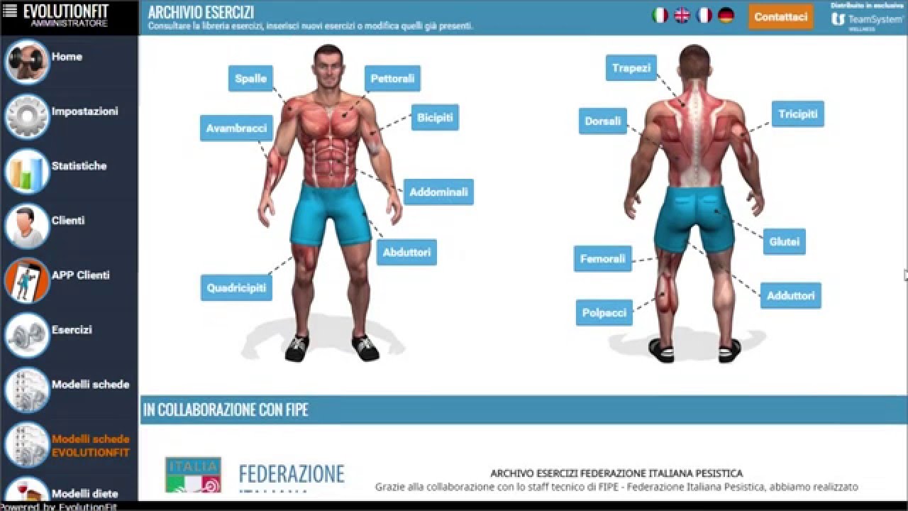 EvolutionFit - Archivio esercizi - YouTube