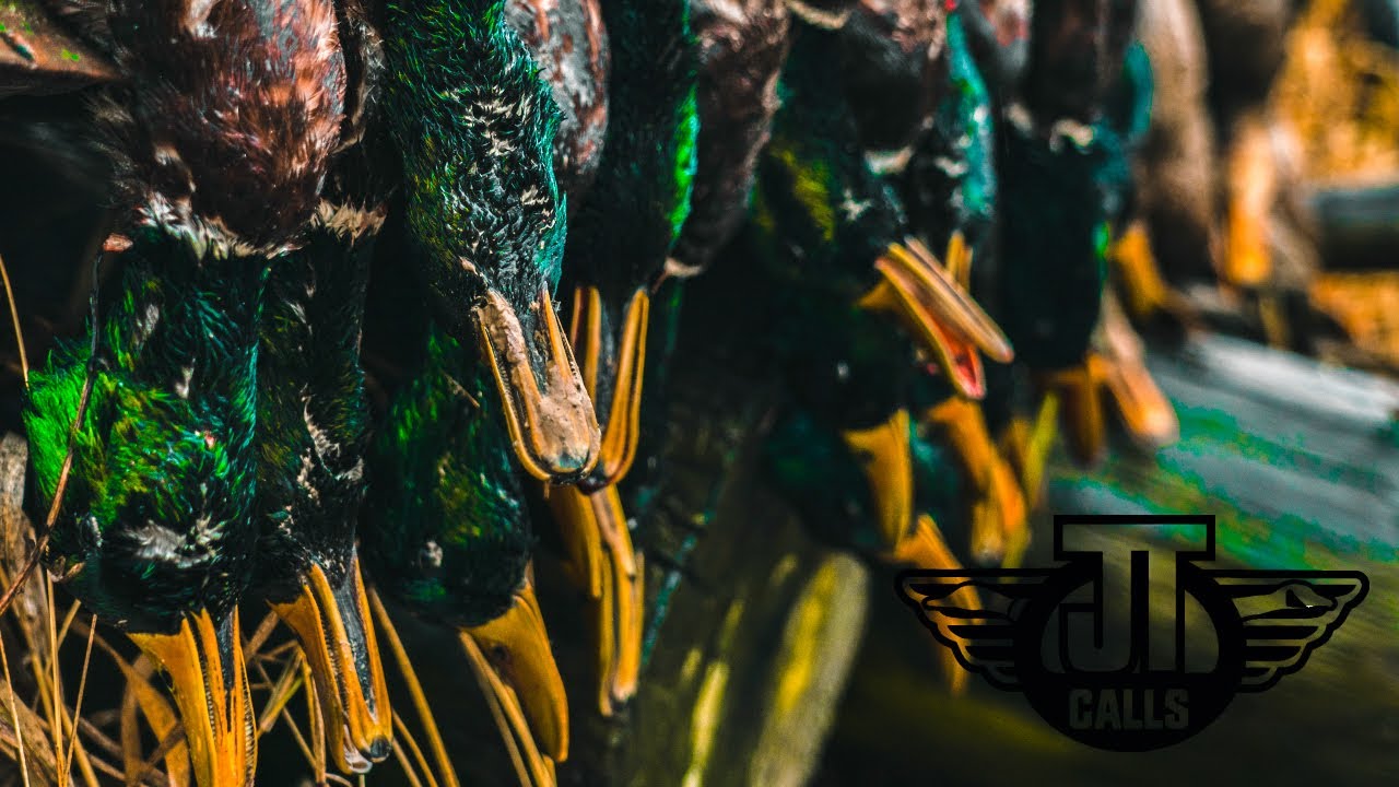 DUCK HUNTING - Mallards in the MUD! - YouTube