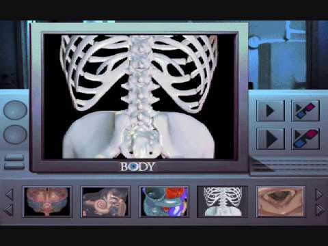3D Body Adventure Flyby Through the Skeleton Theme - YouTube