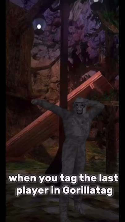 Gtag meme part 1 #gorillatagfun #vr #gorillatagjuke #funnymemes #gorillatag #funny #gtag - YouTube