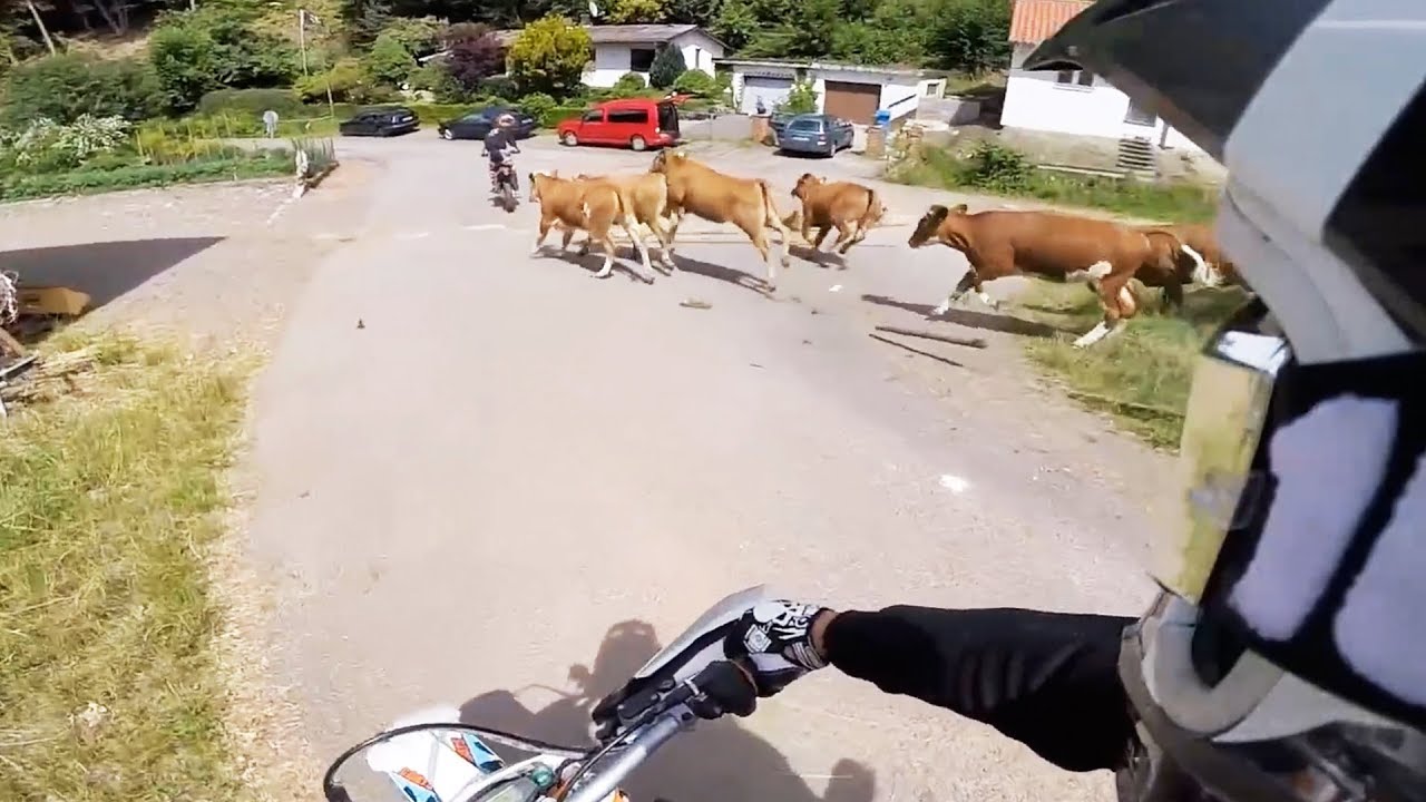 Funny, Crazy & Weird Things Bikers See, Say & Do 2018 [Ep.#30] - YouTube