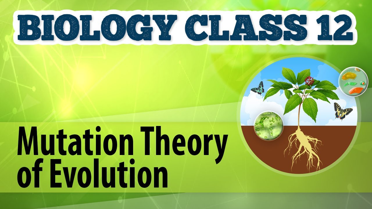 Mutation Theory of Evolution - Origin and Evolution of Life - Biology ...