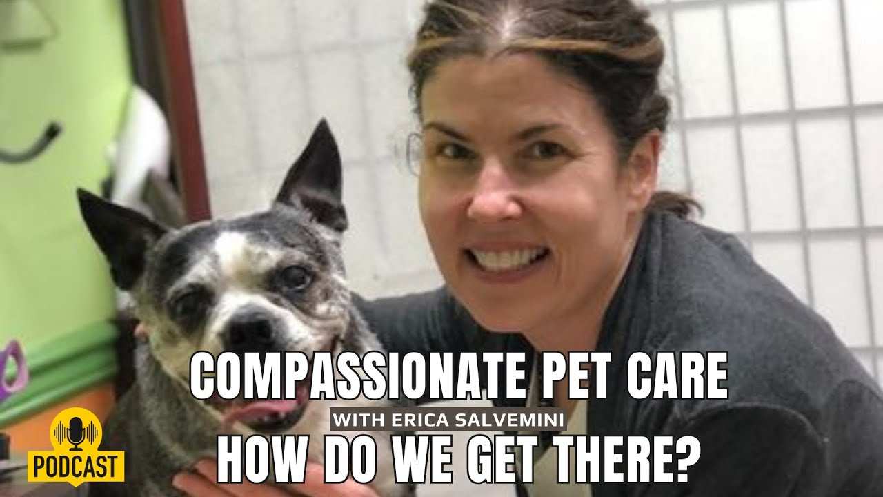 Compassionate Pet Care - How do we get there? - YouTube