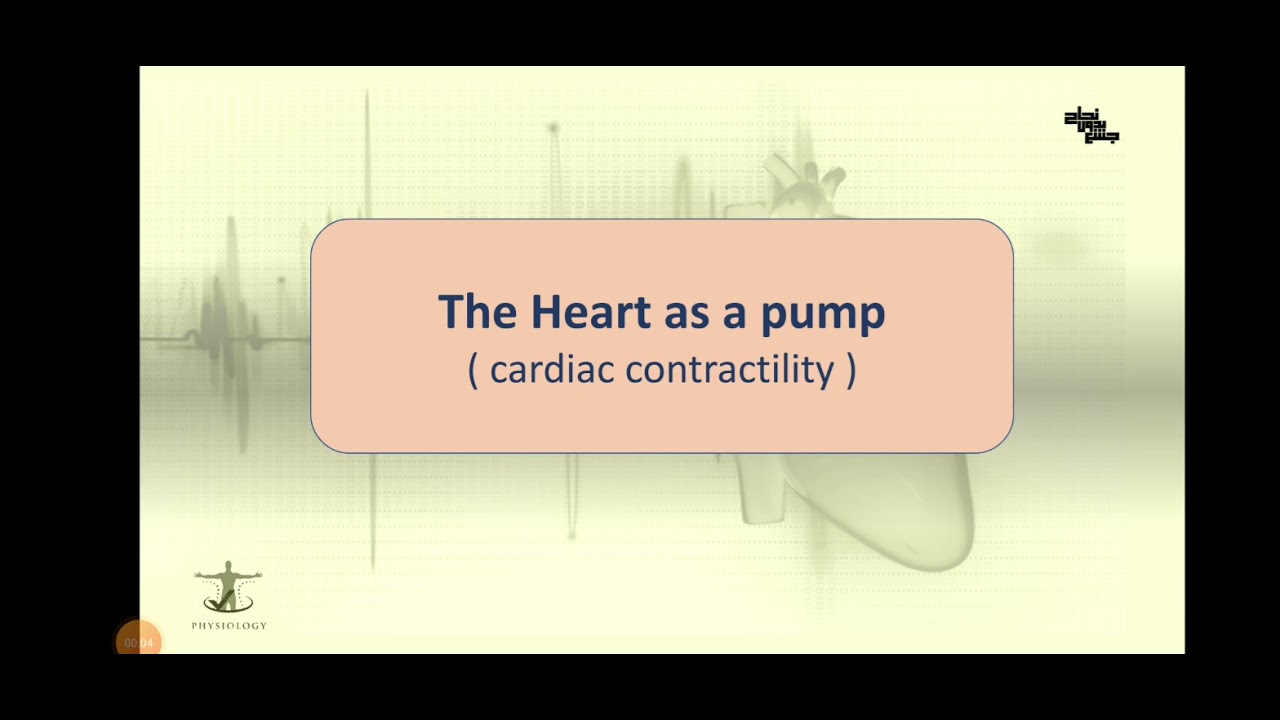 Cardiac contractility.. physio..L3 - YouTube