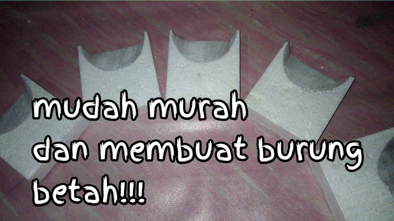 membuat pancingan burung walet menggunakan busa/gabus/sterefom ...