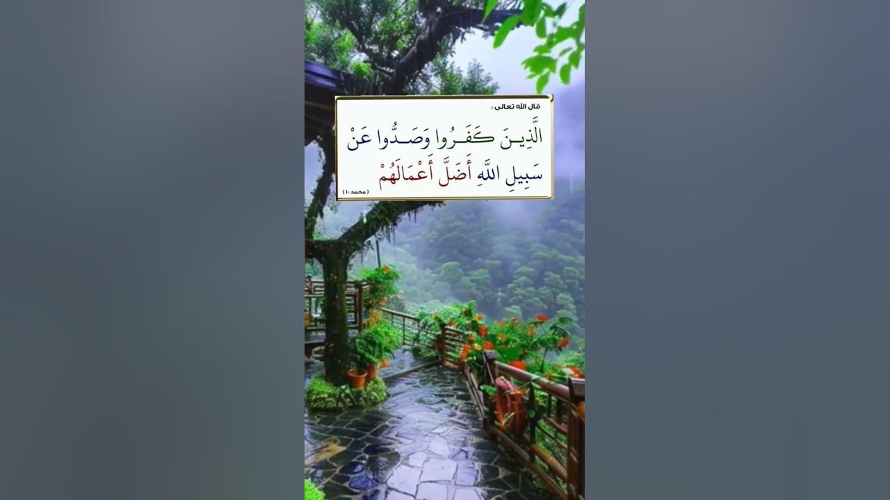 تلاوة خاشعة القرآن الكريم الذين كفروا وصدوا عن سبيل الله سورة محمد