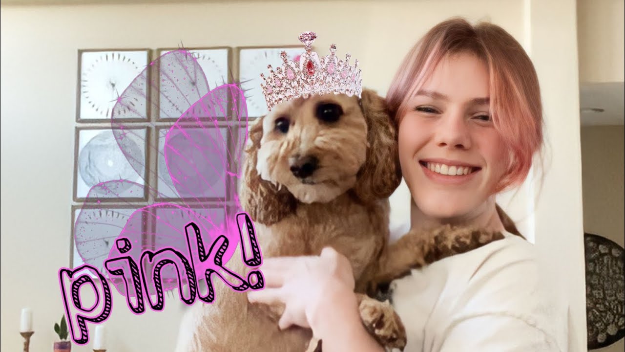 GIVING MY DOG A MAKEOVER - YouTube