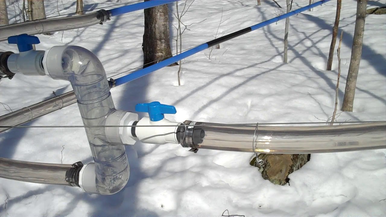 maple dual-line (wet-dry) mainline with PVC manifold at moderate flow ...