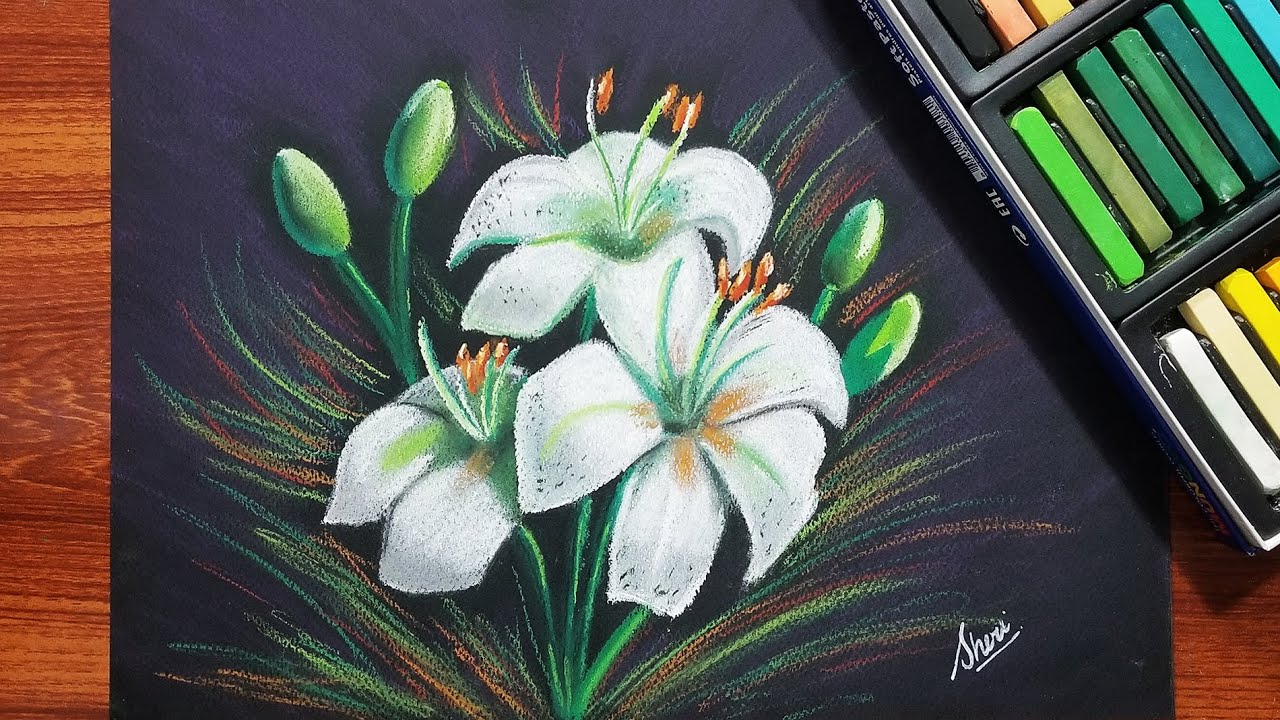 White Lily Flower Drawing How To Draw A Lily Flower Step By Step