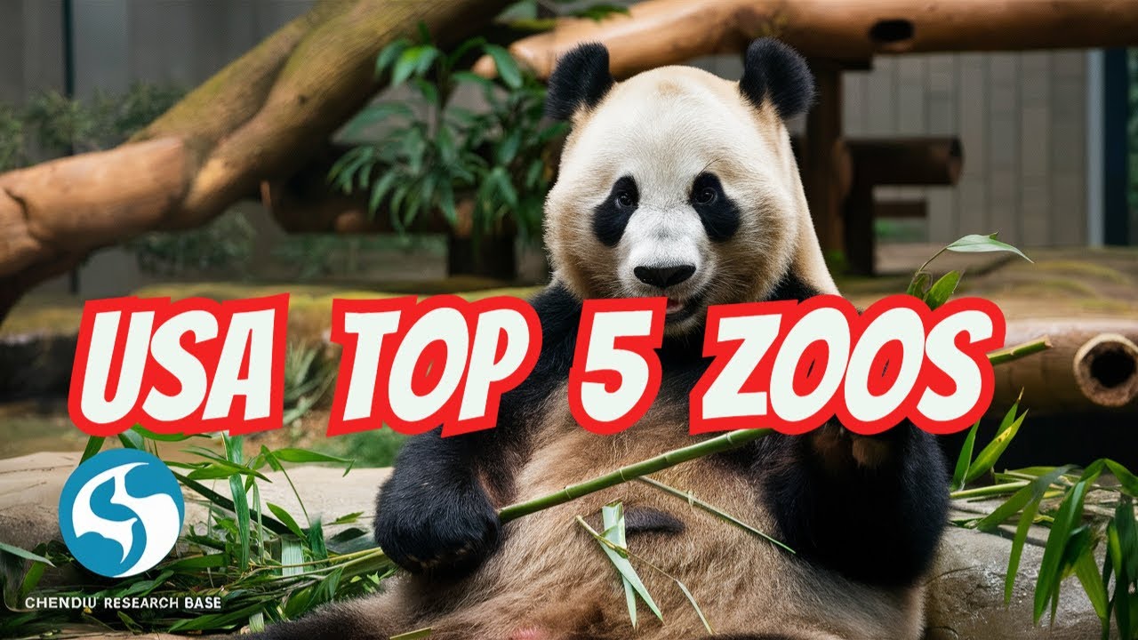 USA: America’s Top 5 Zoos to Visit in 2024! - YouTube