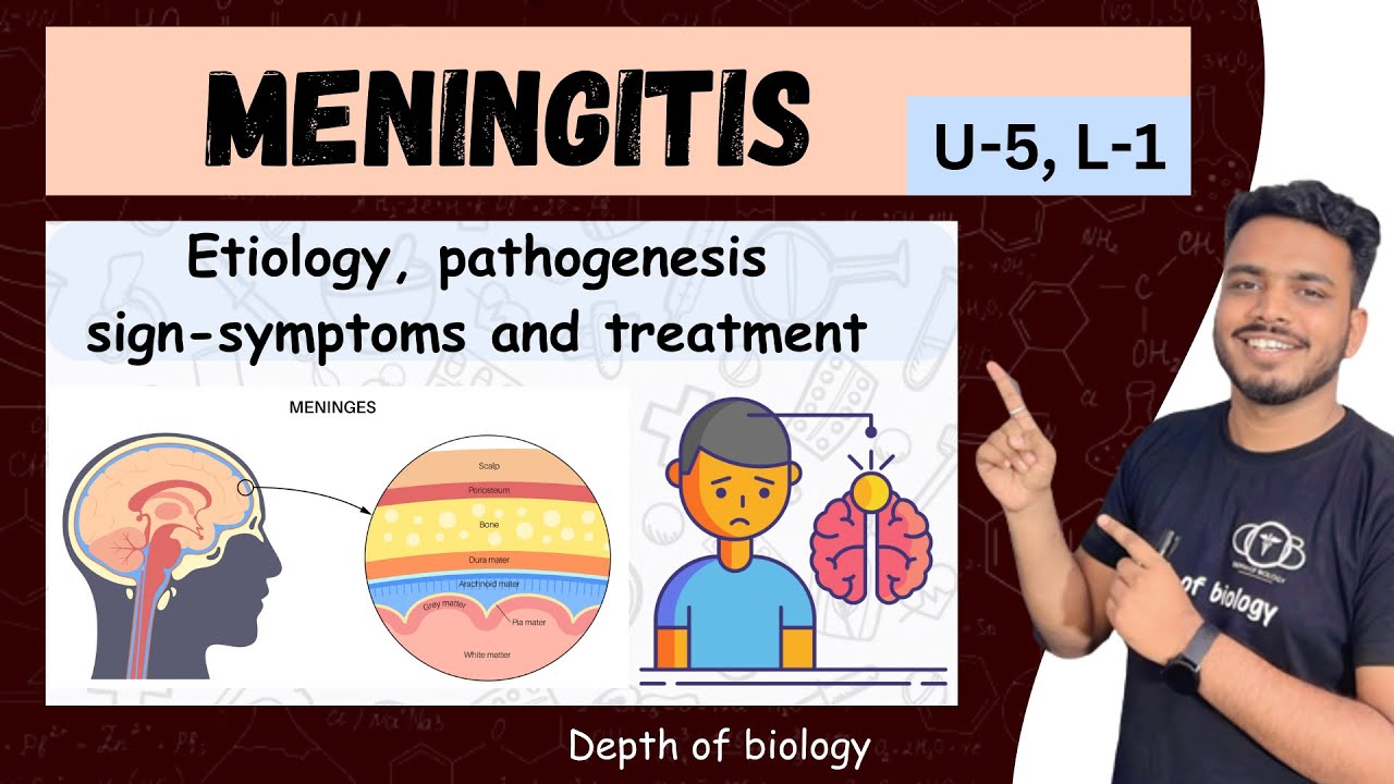 meningitis pathophysiology || meningitis nursing || meningitis notes ...