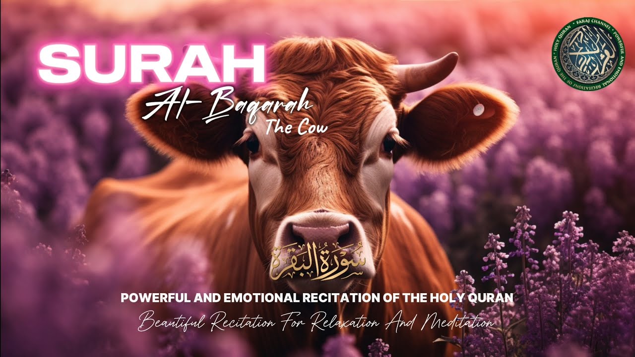 SURAH AL-BAQARAH_THE COW | SHEYKH_MANSUR AL-SALMI | سورة البقرة ...