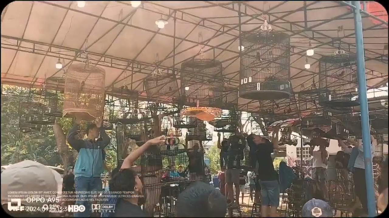 NEW WBC ARENA MAYONG YESS - YouTube