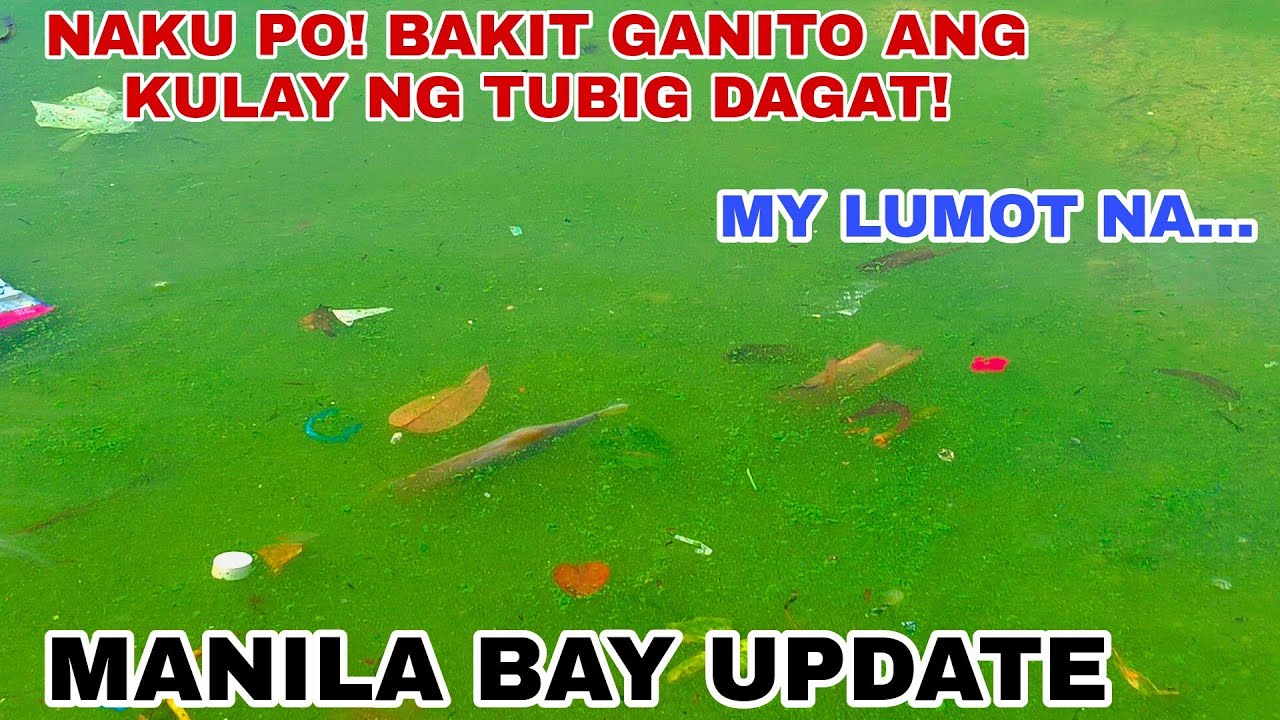 MANILA BAY UPDATE: OCTOBER 22 2022 NAKU PO! BAKIT GANITO ANG KULAY NG TUBIG DAGAT! MY LUMOT NA ...