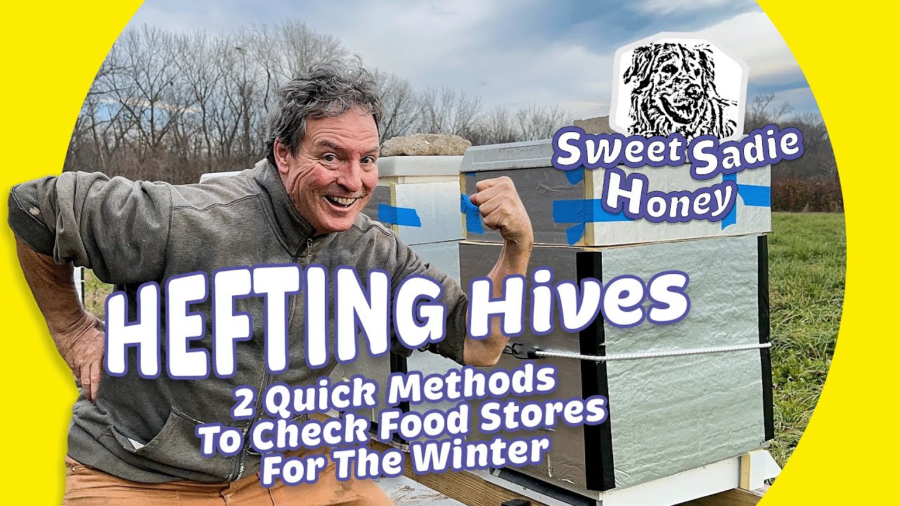 Hefting Hives: How to Check Winter Food Stores for Your Bees 🐝 - YouTube
