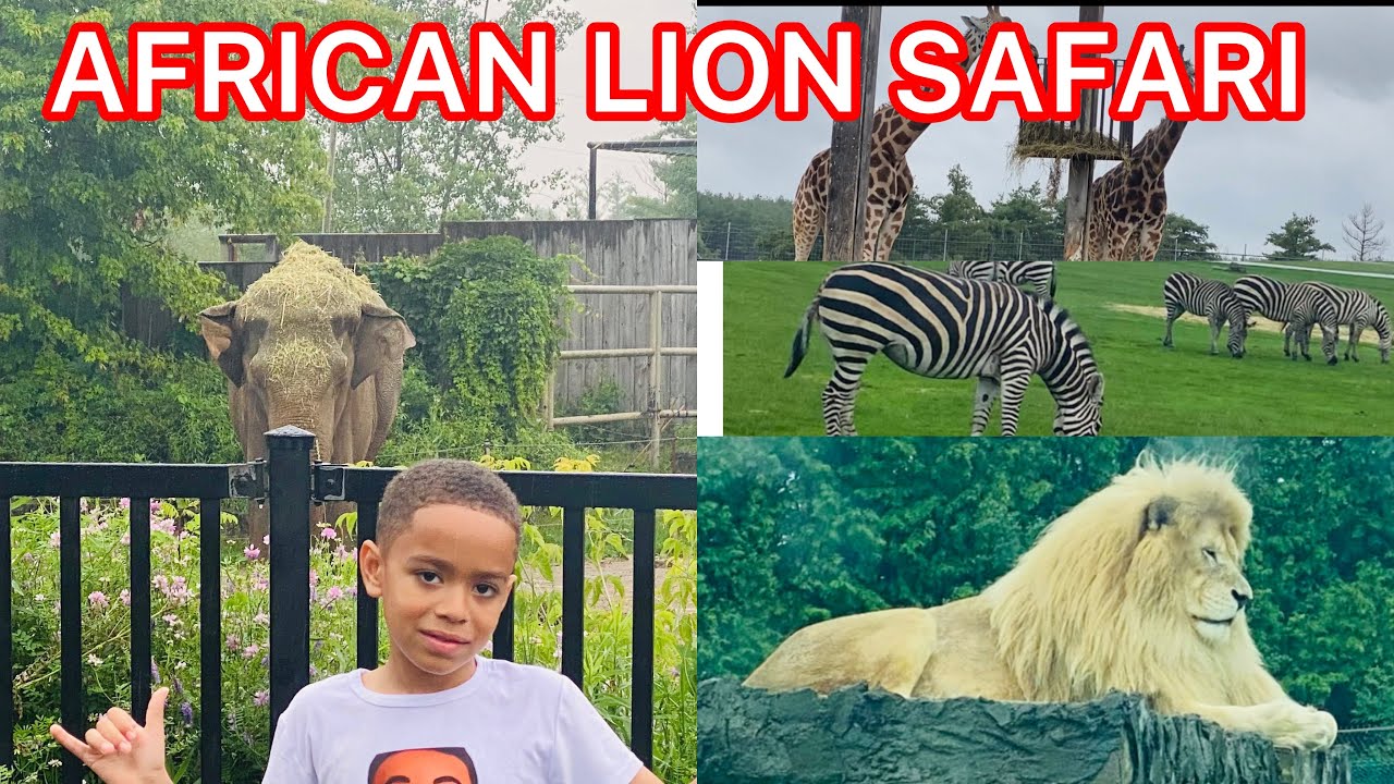 Visit To African Lion Safari with Nelson | Wild Animals | Summer - YouTube