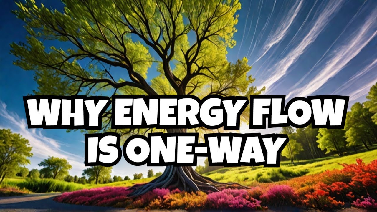 Reasons Why Energy Flow Through An Ecosystem Is One Way - YouTube
