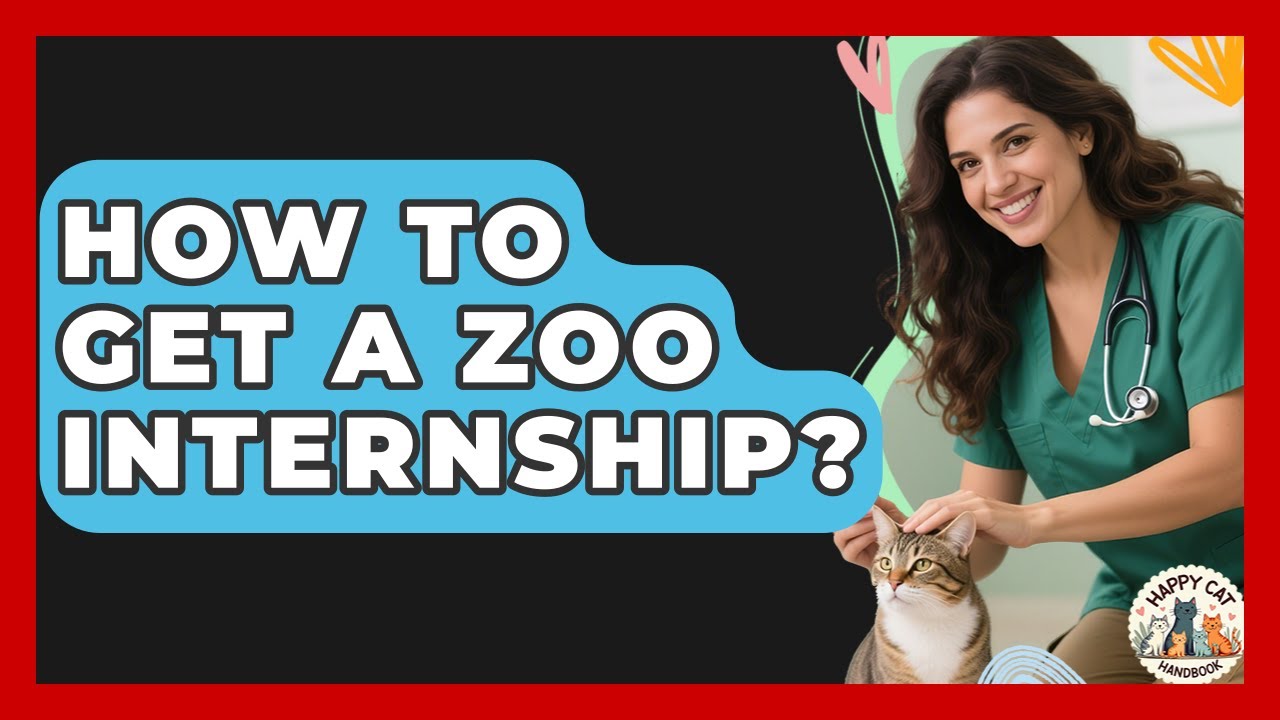 How To Get A Zoo Internship? - Animal Care Jobs - YouTube