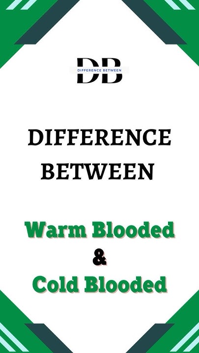 difference between Warm Blooded and Cold Blooded | The Secrets of Warm ...