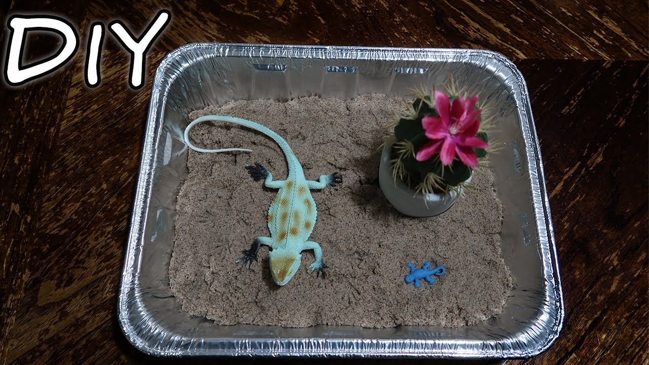 DIY Desert Biome l Homeschool Science Experiment or Project - YouTube