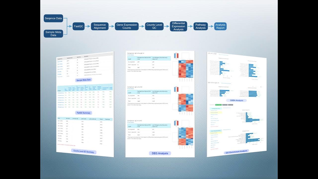 RNA-Seq Data Mining Made Easy by BxGenomics - YouTube