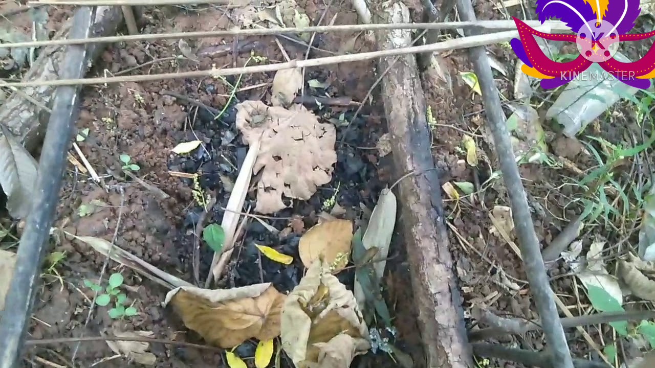 welcome back to my channel !!! harping..harping..and harping - YouTube