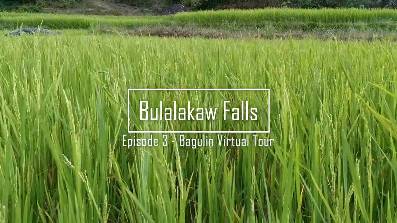 Bulalakaw Falls | Bagulin Virtual Tour | Episode 3 | #StayatHome - YouTube