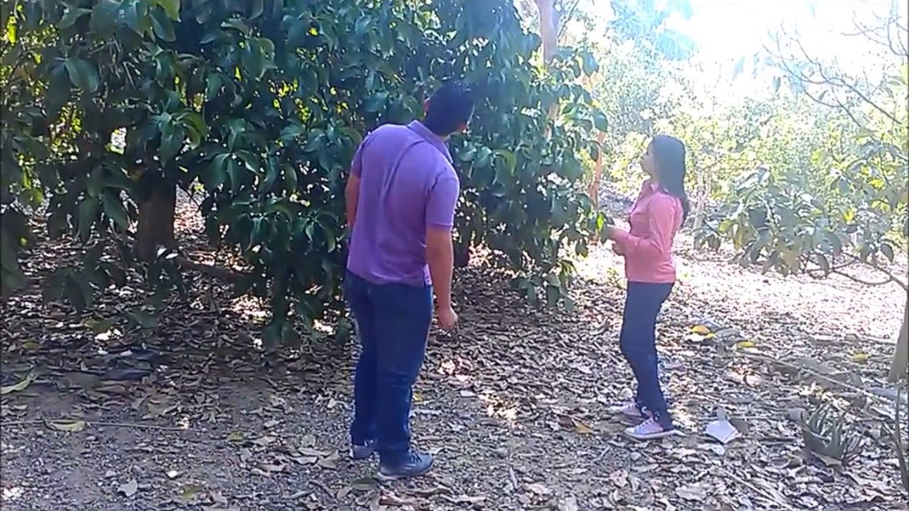 el marañon japones - YouTube